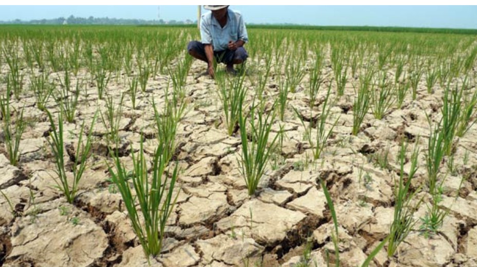 Puncak Musim Kemarau Diprediksi Juni hingga Agustus 2025 - BeritaNet